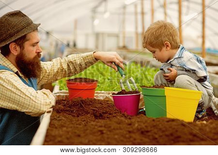 Planting Together. Image & Photo (Free Trial) | Bigstock