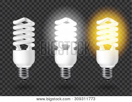 Vector Image Light Vector & Photo (Free Trial) | Bigstock