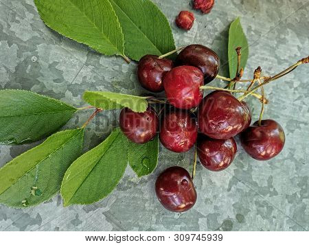 Beautiful Cherry On Image & Photo (Free Trial) | Bigstock