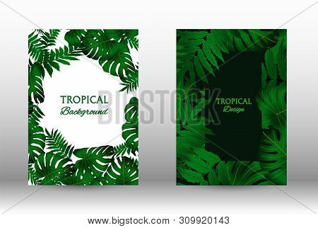 Tropic Covers Set. Vector & Photo (Free Trial) | Bigstock