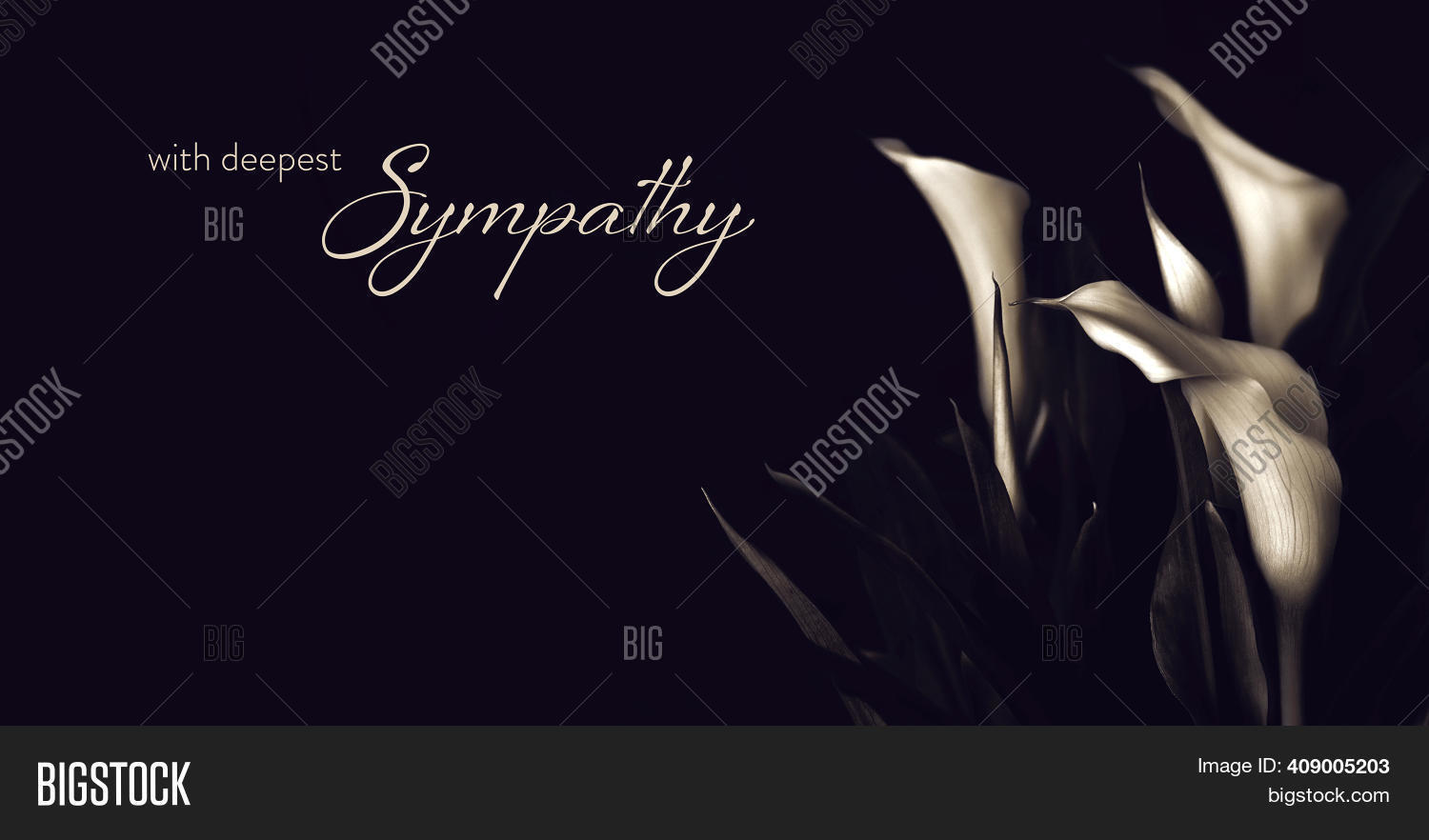 Sympathy Card White Image & Photo (Free Trial) | Bigstock