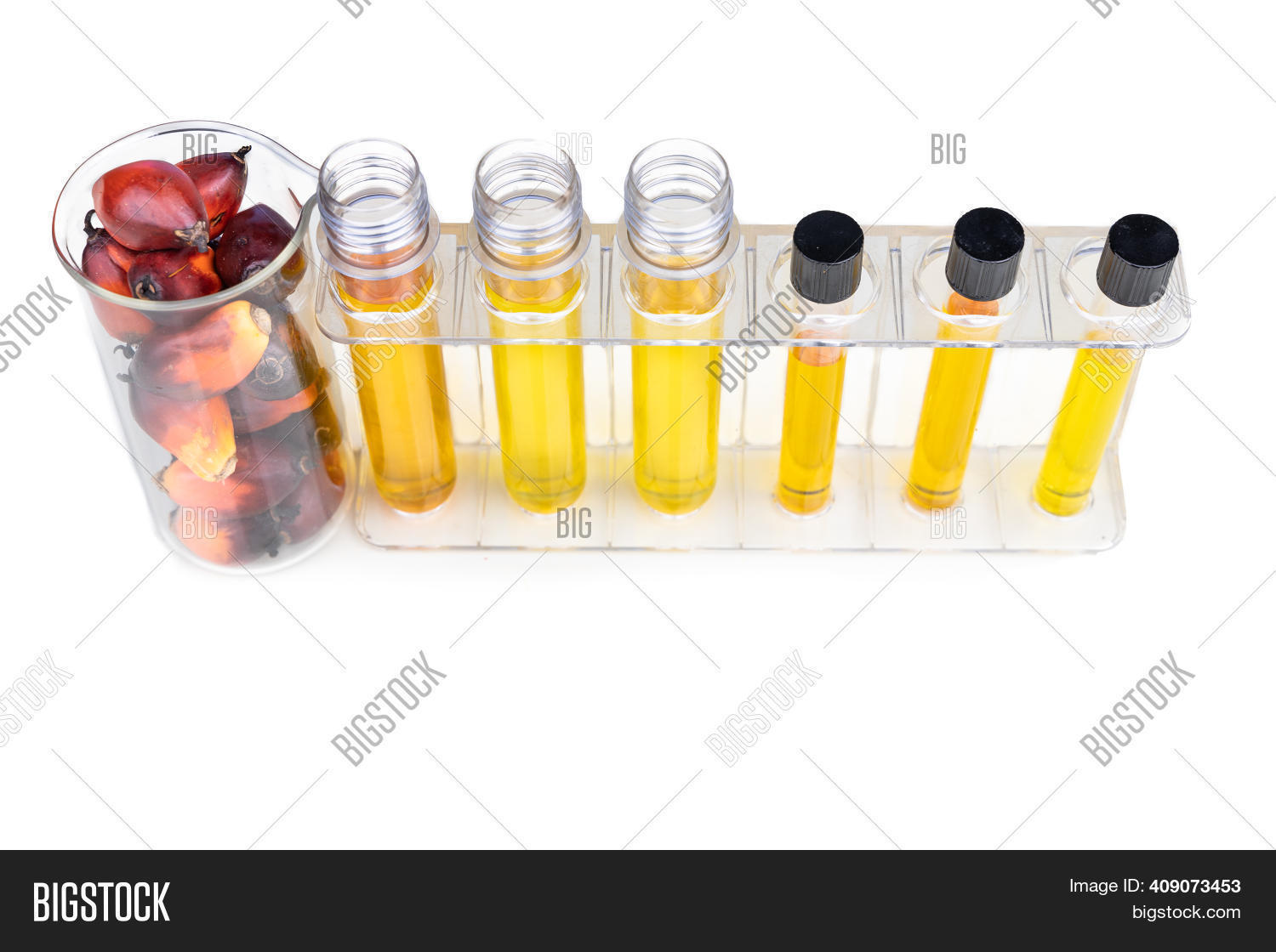Oil Palm Fruits Image & Photo (Free Trial) | Bigstock
