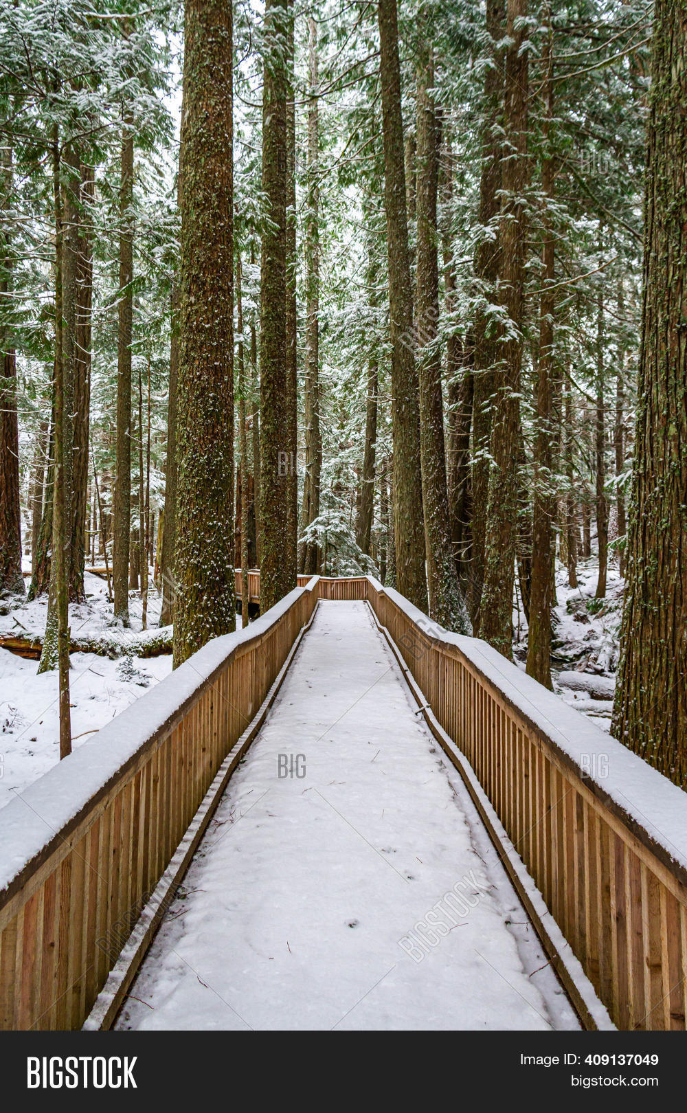 Snow Covered Boardwalk Image & Photo (Free Trial) | Bigstock