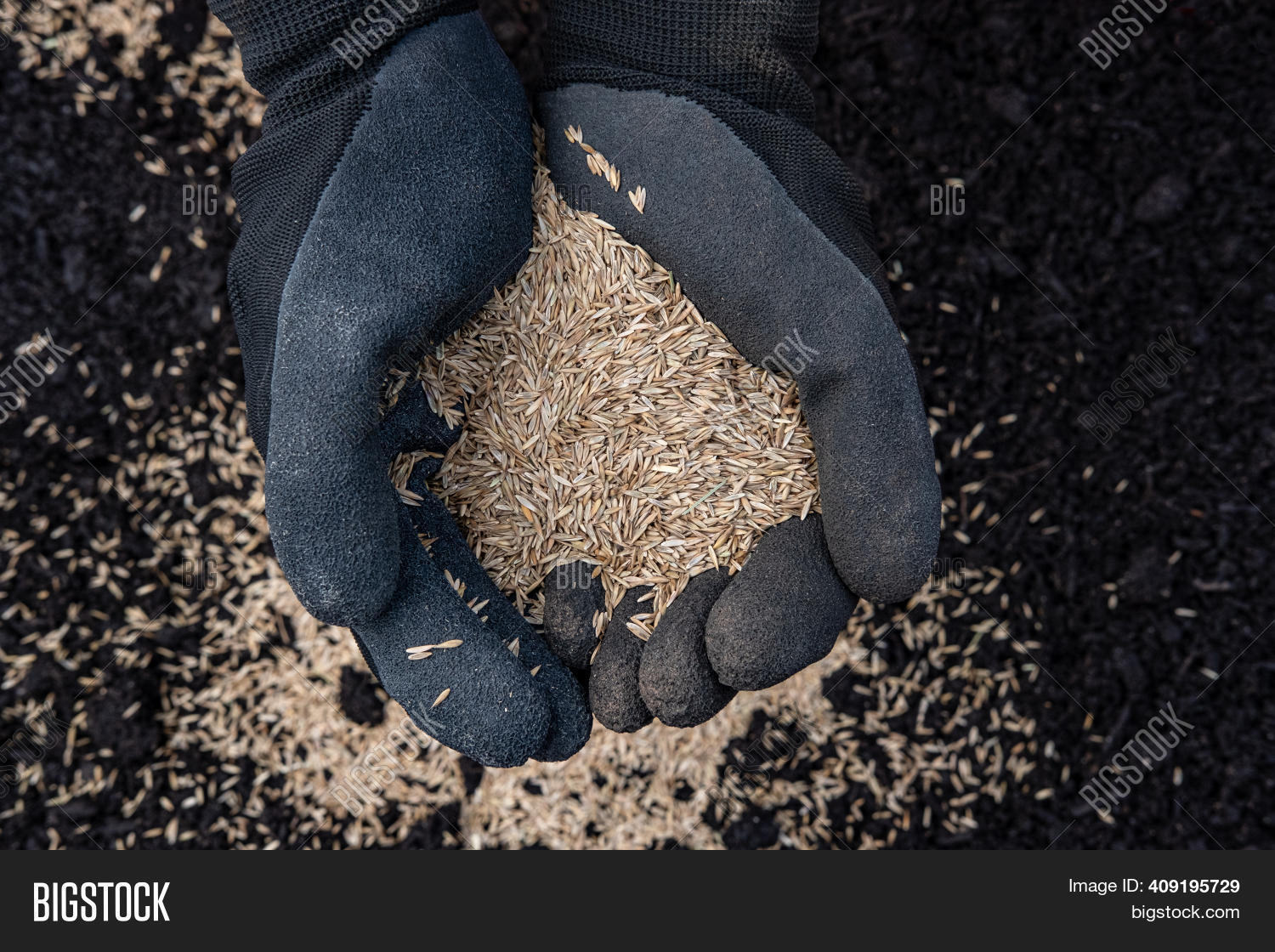 Photograph Handfull Image & Photo (Free Trial) | Bigstock