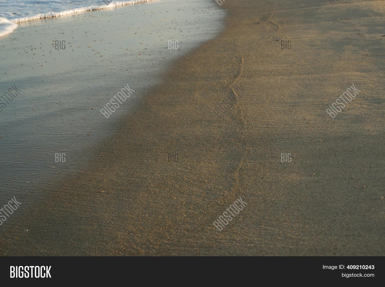 Summer Sand Beach Image & Photo (Free Trial) | Bigstock