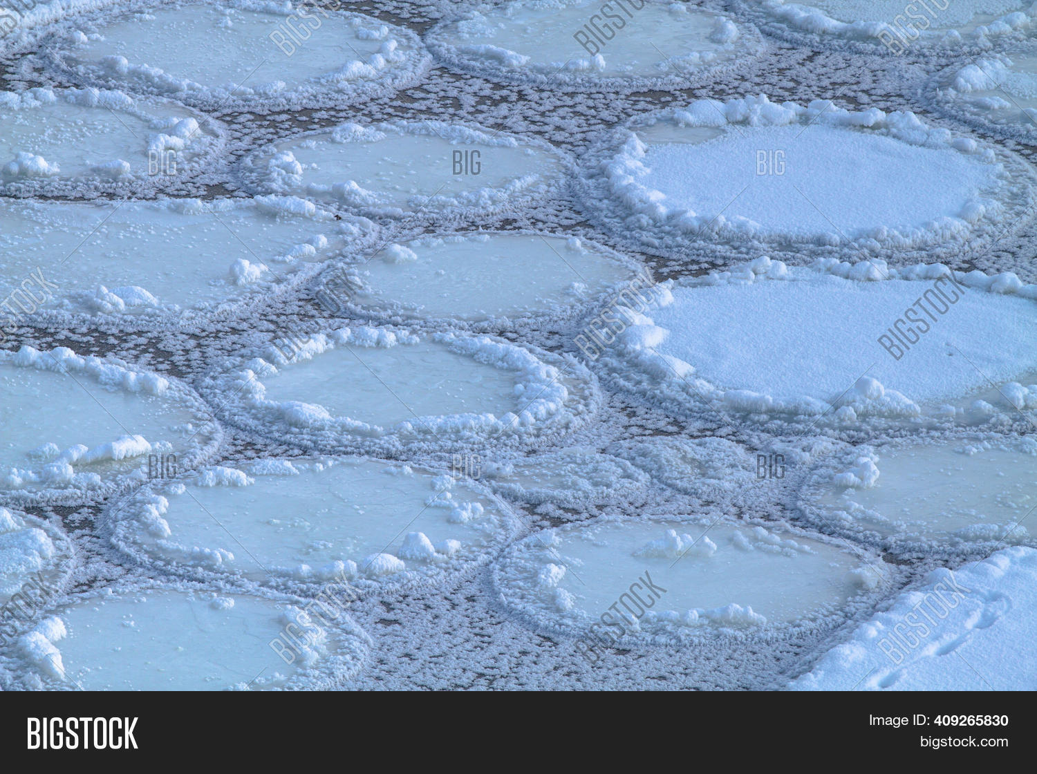 Severe Frost Froze Image & Photo (Free Trial) | Bigstock