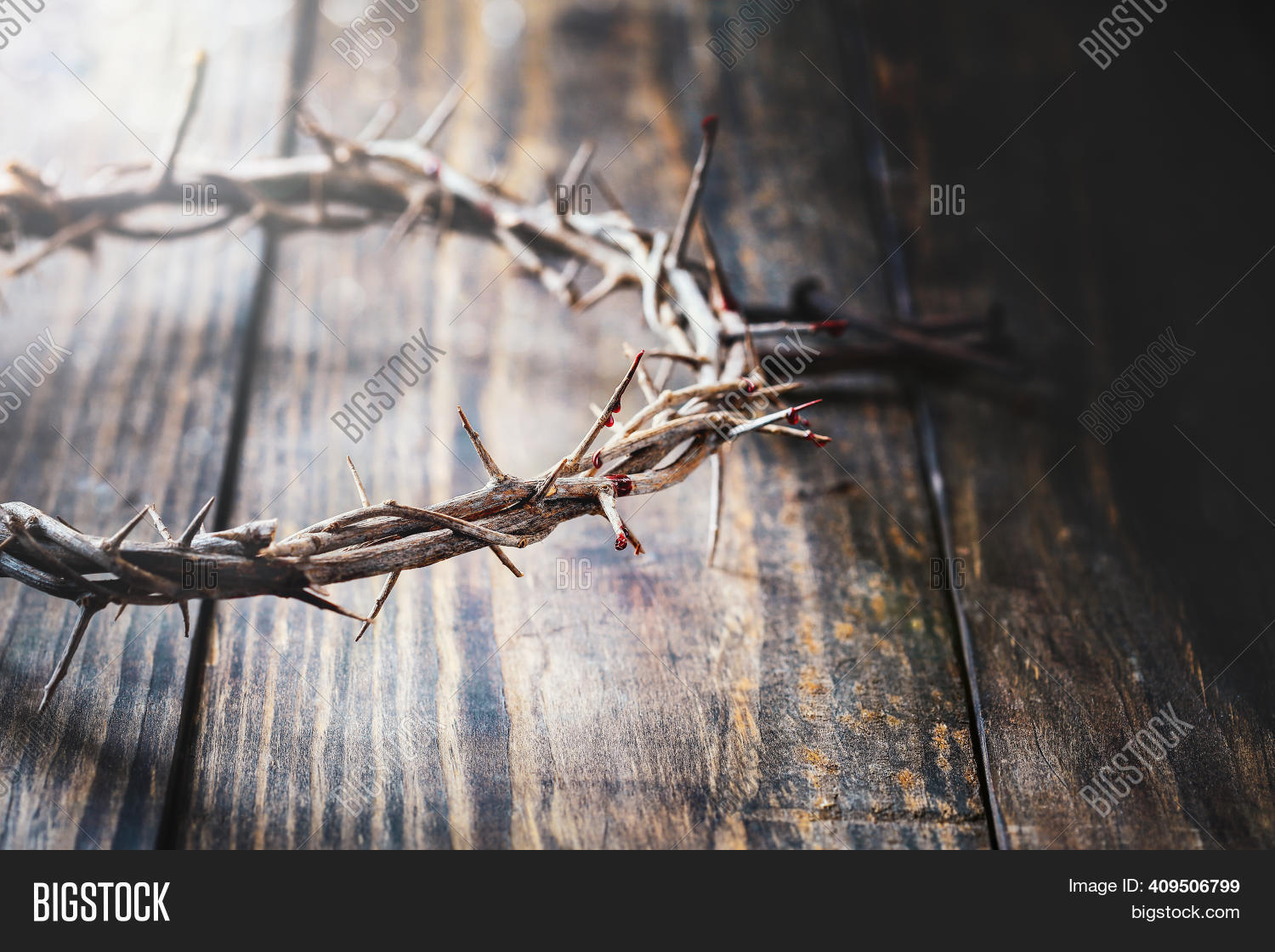 Christian Crown Thorns Image & Photo (Free Trial) | Bigstock