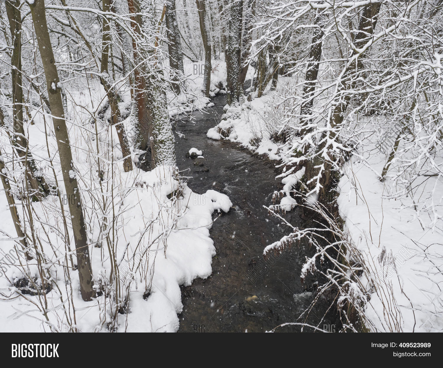 Snow Covered Forest Image & Photo (Free Trial) | Bigstock