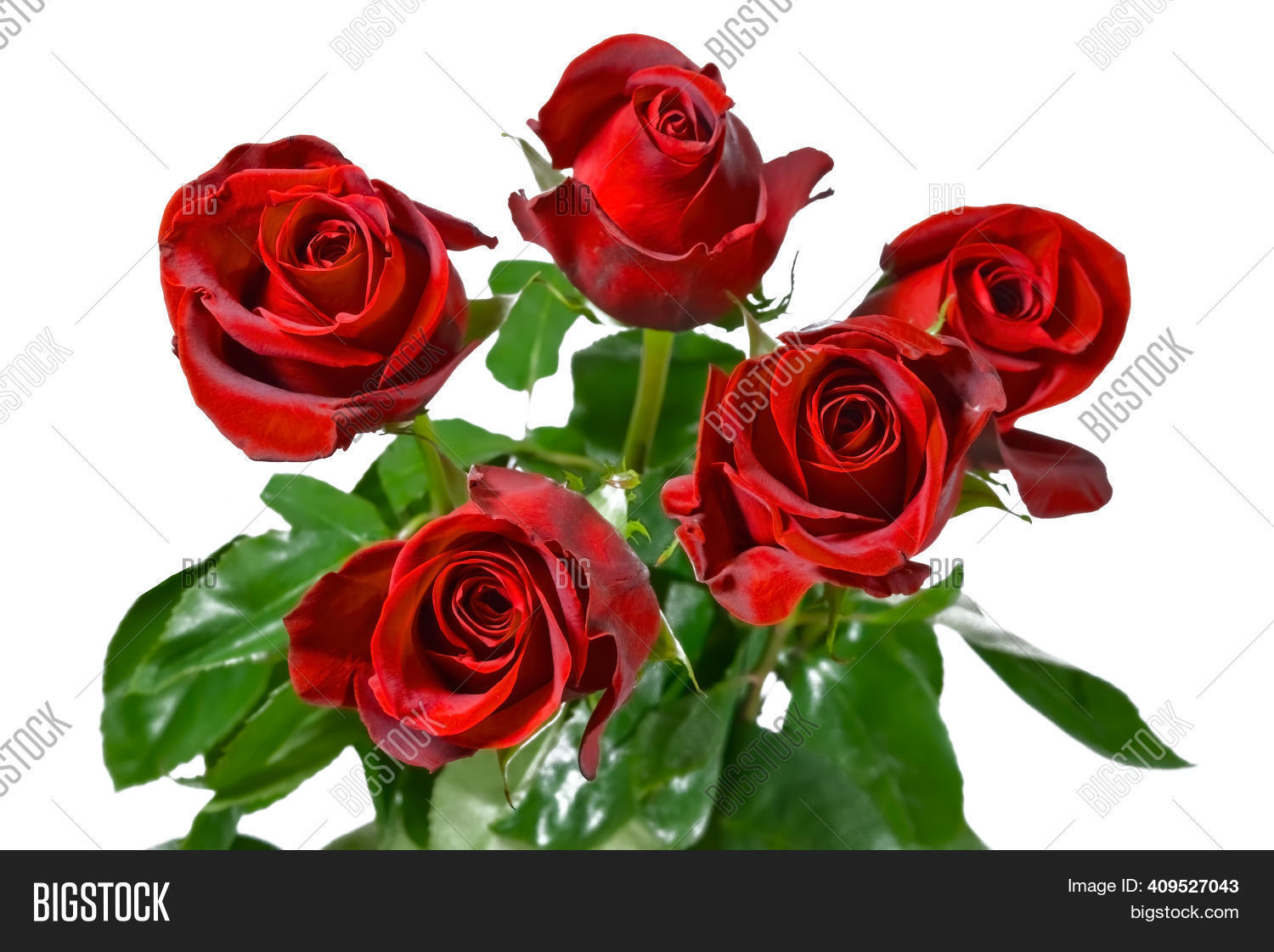 Bouquet Five Red Roses Image & Photo (Free Trial) | Bigstock