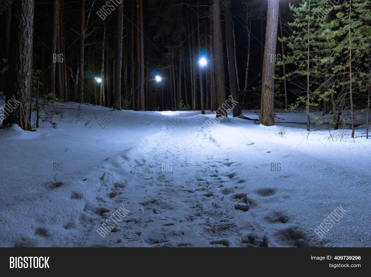 Trail Footprints Snow Image & Photo (Free Trial) | Bigstock