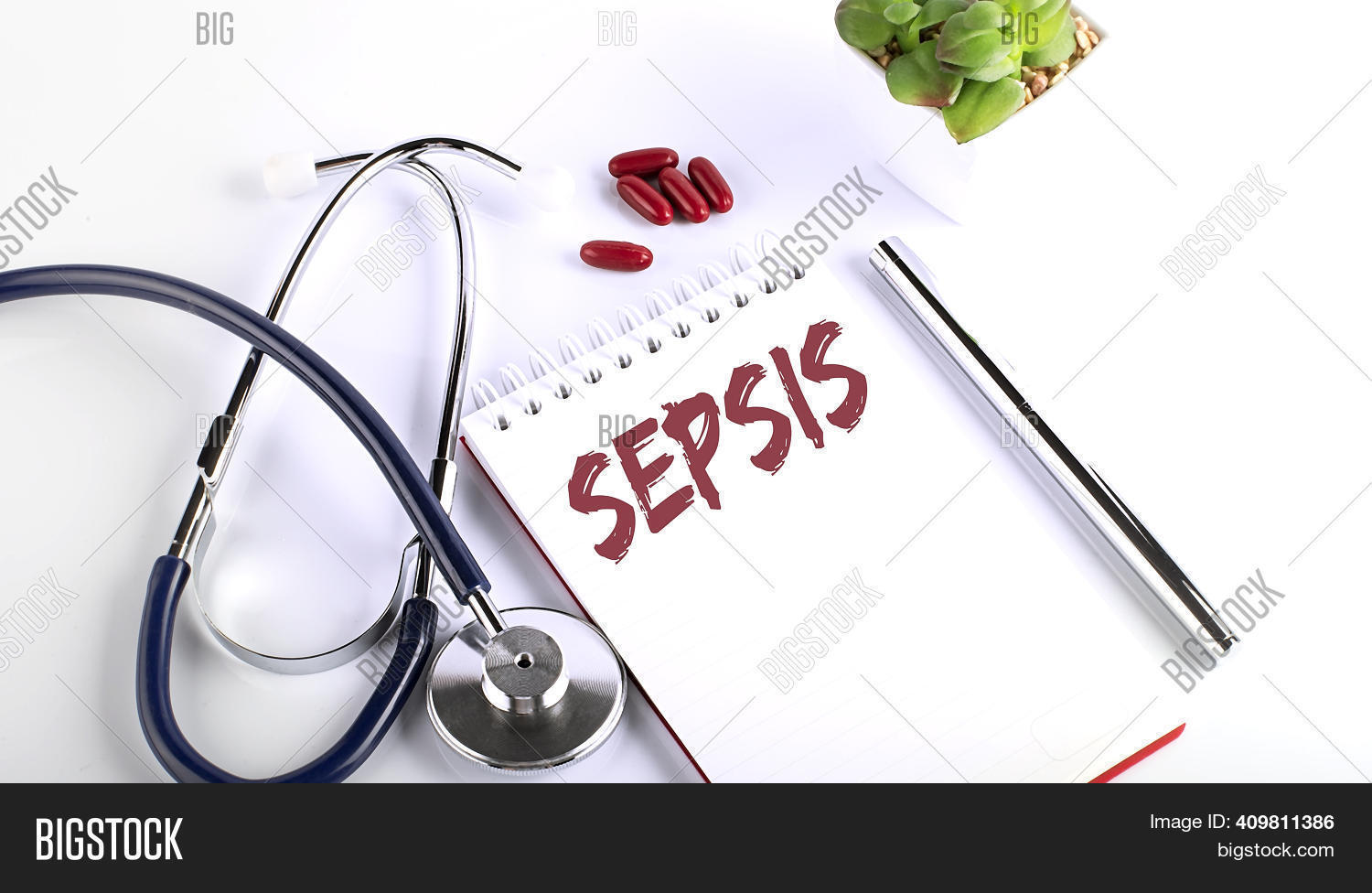 Text Sepsis On White Image & Photo (Free Trial) | Bigstock