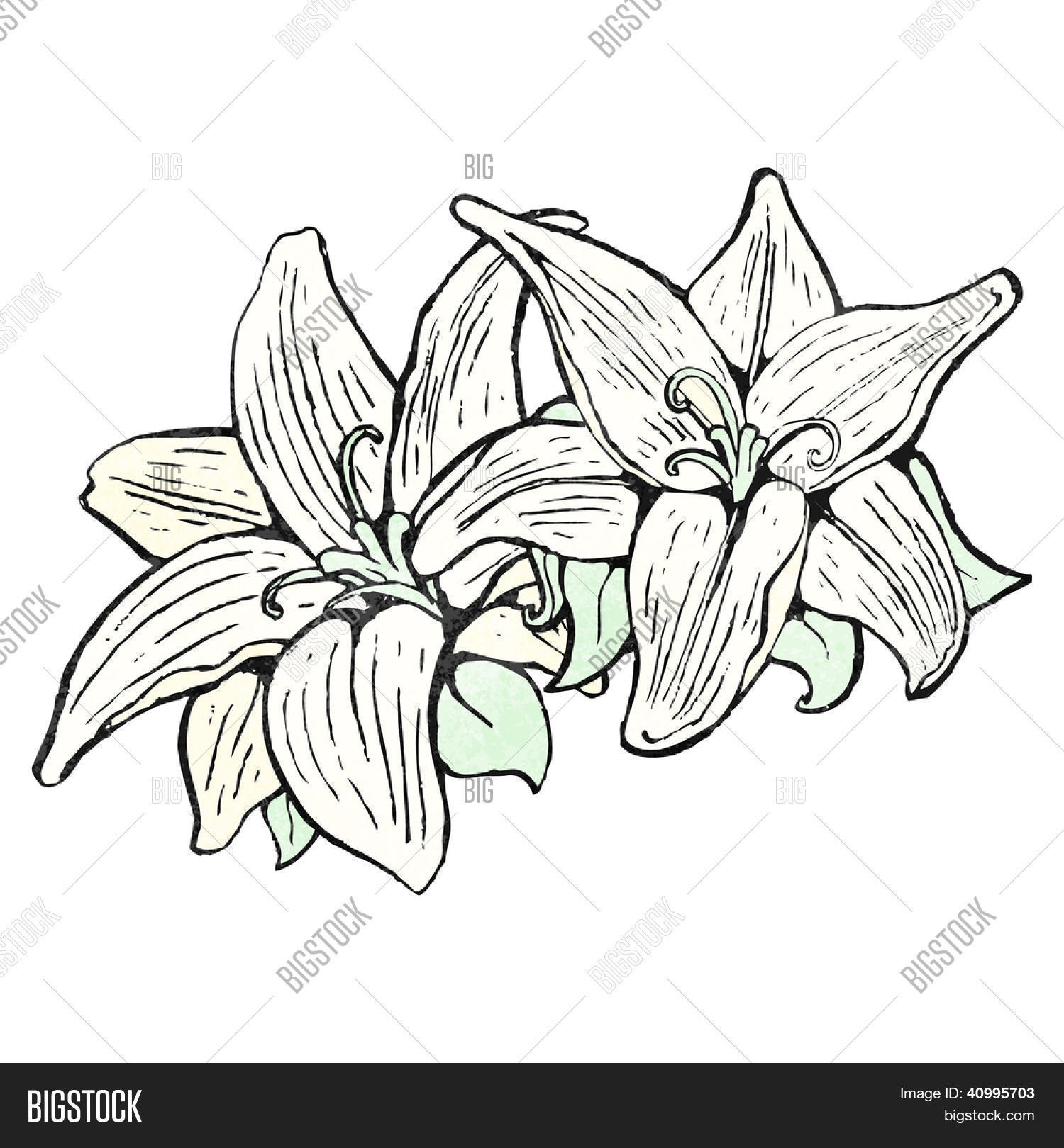 Cartoon Lilies Vector & Photo (Free Trial) | Bigstock