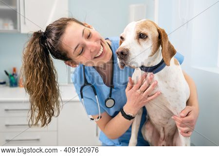 Young Happy Veterinary Image & Photo (Free Trial) | Bigstock