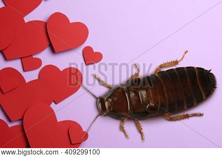 Valentine's Day Image & Photo (Free Trial) | Bigstock