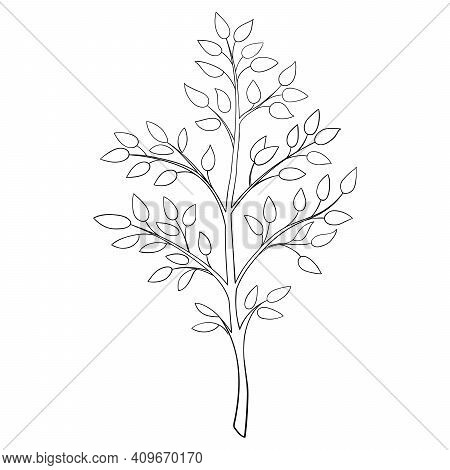 Tree Branch Vector Vector & Photo (Free Trial) | Bigstock