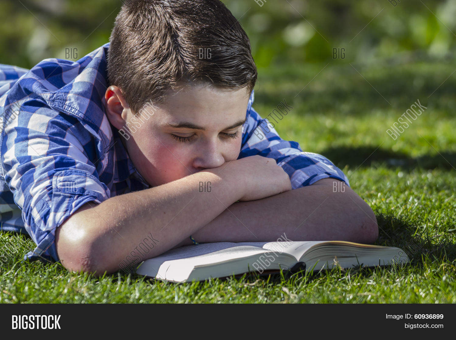 Young Boy Reading Book Image & Photo (Free Trial) | Bigstock