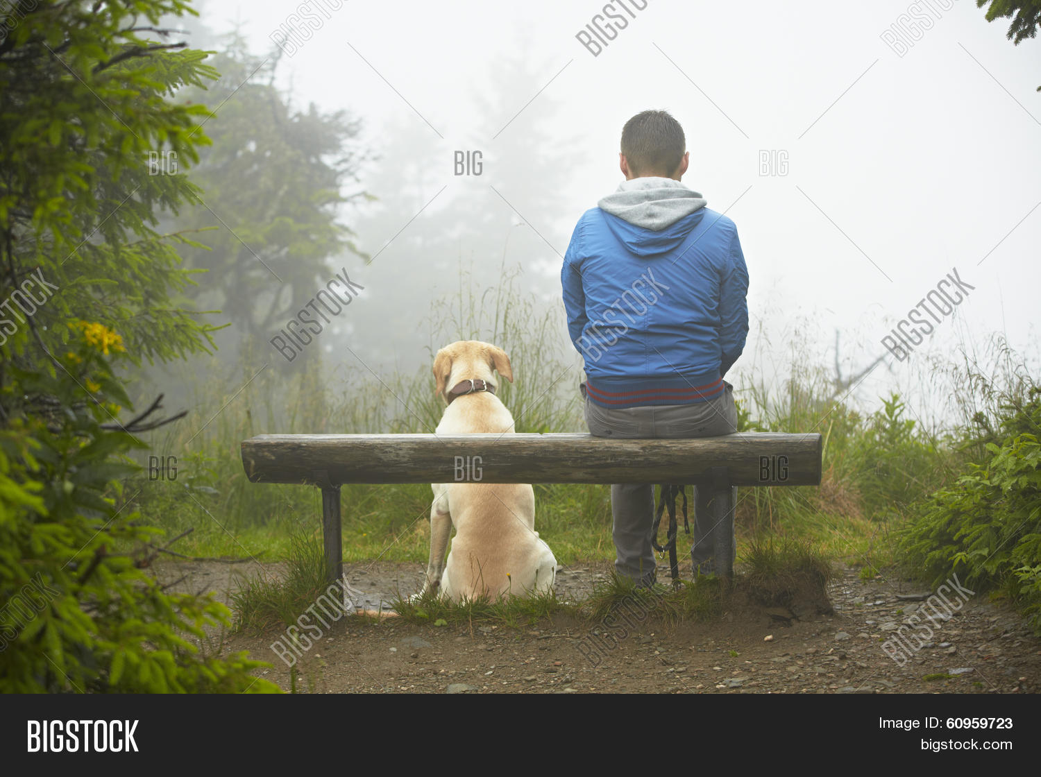 Lost Man His Dog Image & Photo (Free Trial) | Bigstock