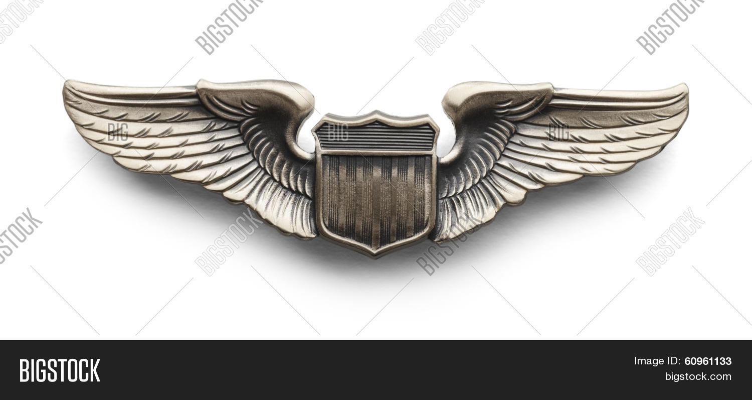 Pilot Wings Image & Photo (Free Trial) | Bigstock
