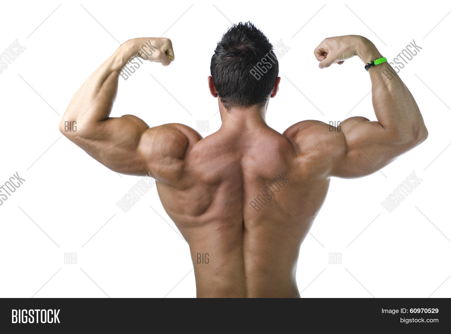 Back Double Biceps Image & Photo (Free Trial) | Bigstock