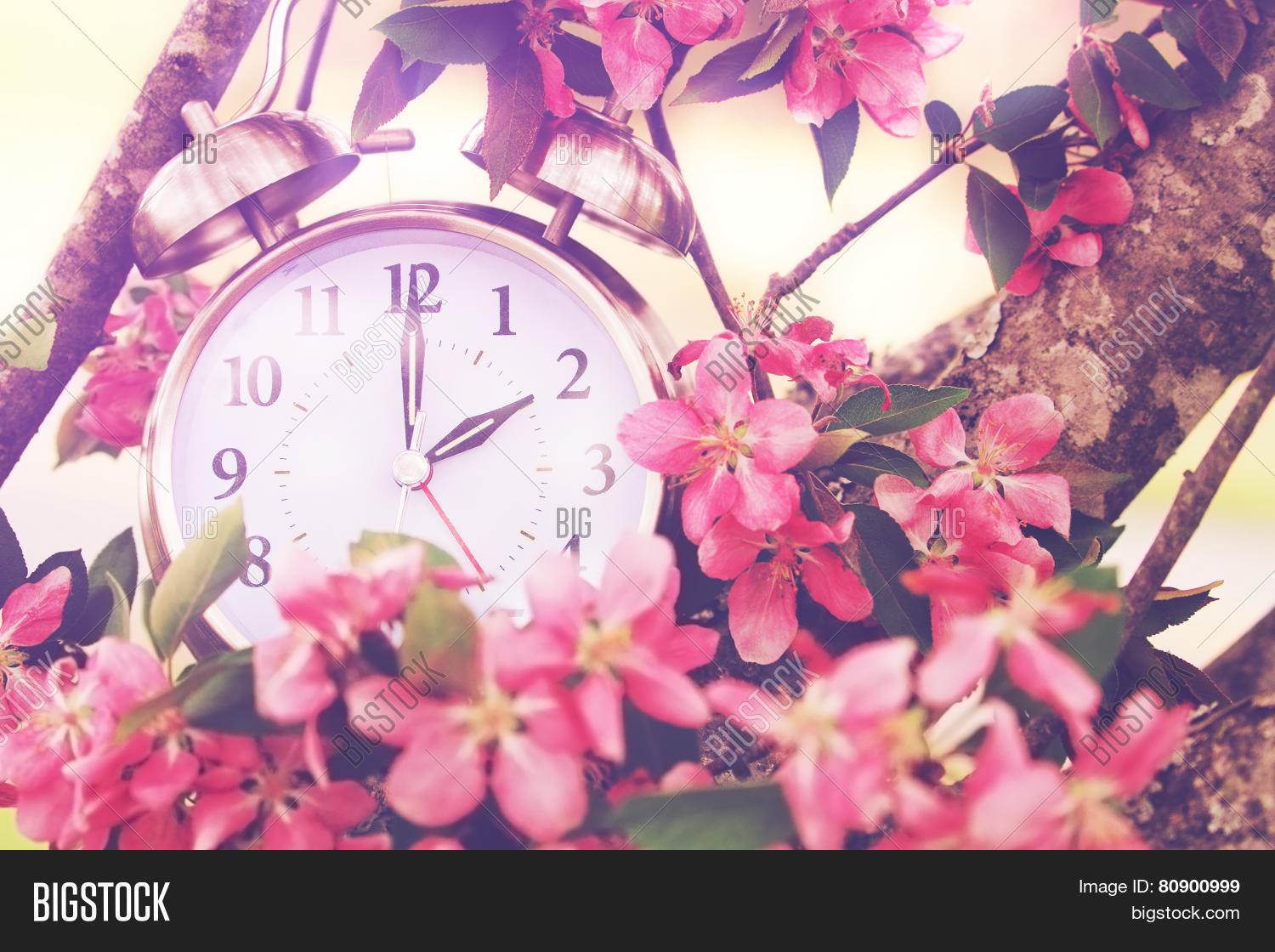 Springtime Daylight Image & Photo (Free Trial) | Bigstock