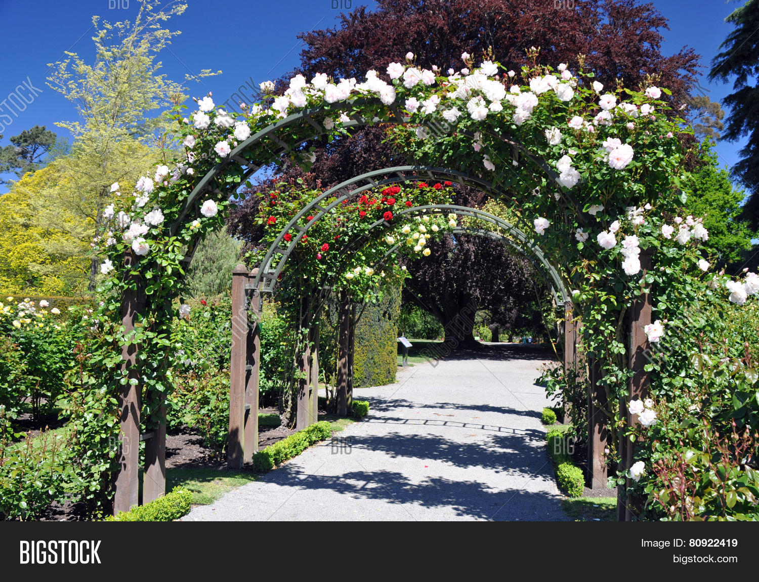 Rose Arch Image & Photo (Free Trial) | Bigstock