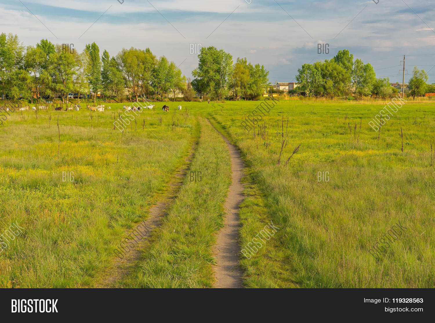 Evening Landscape Image & Photo (Free Trial) | Bigstock
