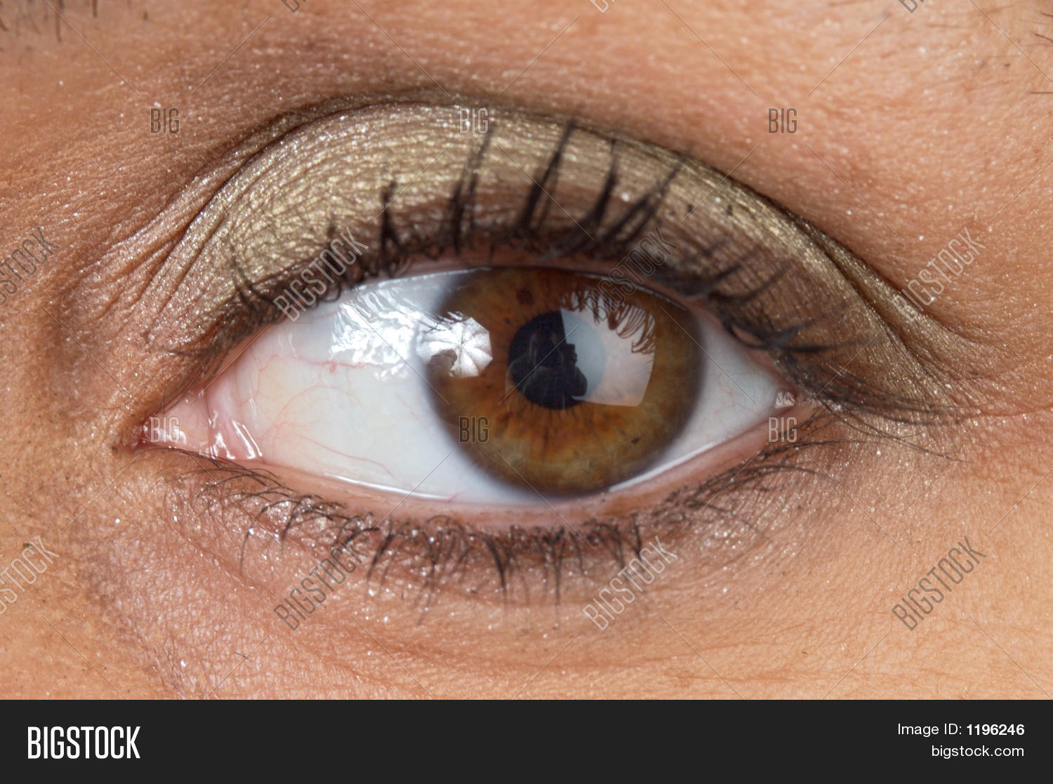 Eye Image & Photo (Free Trial) | Bigstock