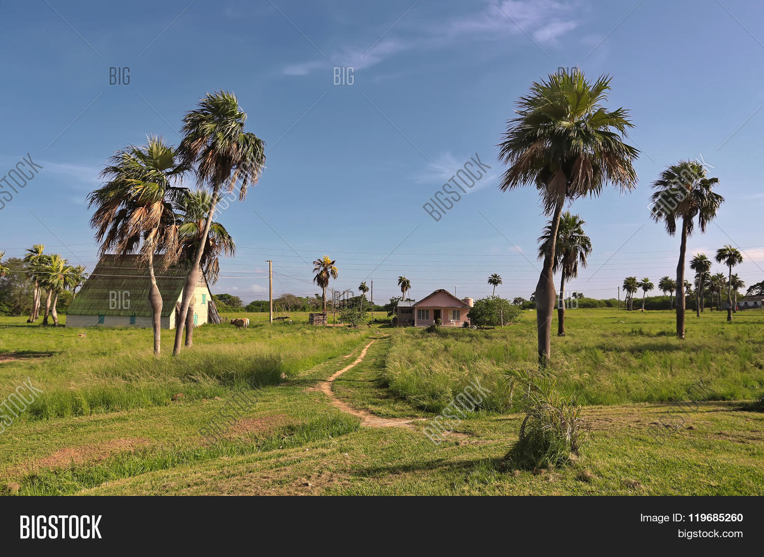 Cuba, Pinar Del Rio Image & Photo (Free Trial) | Bigstock