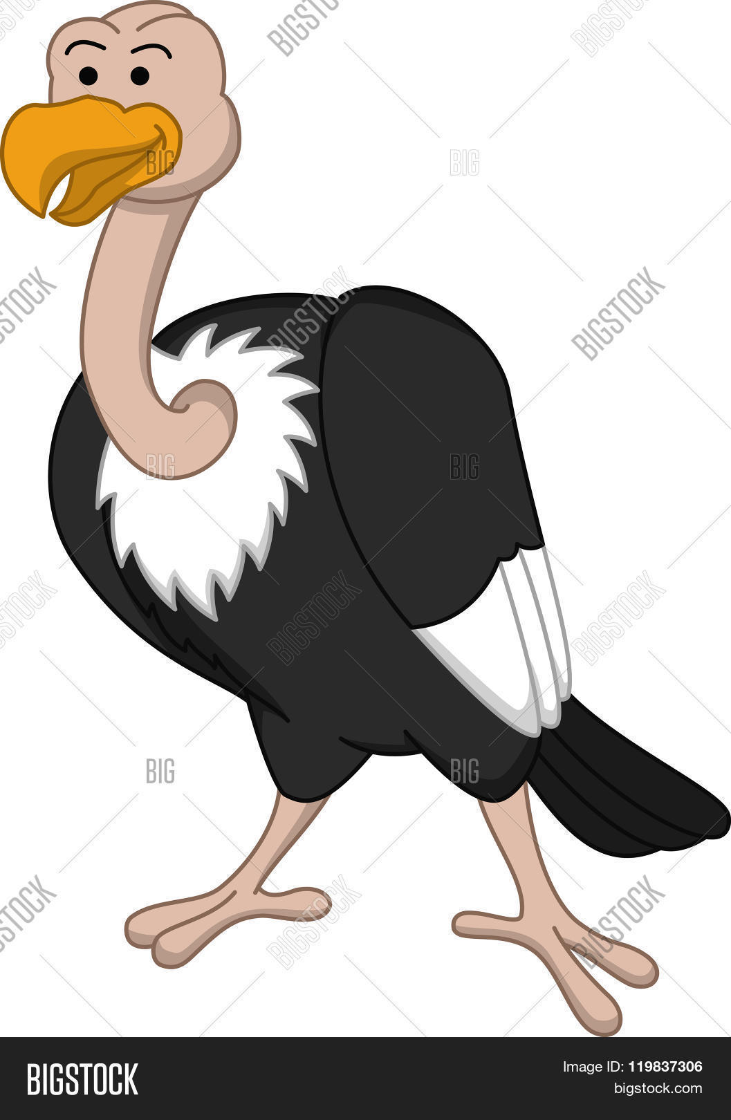 Andean Condor Cartoon