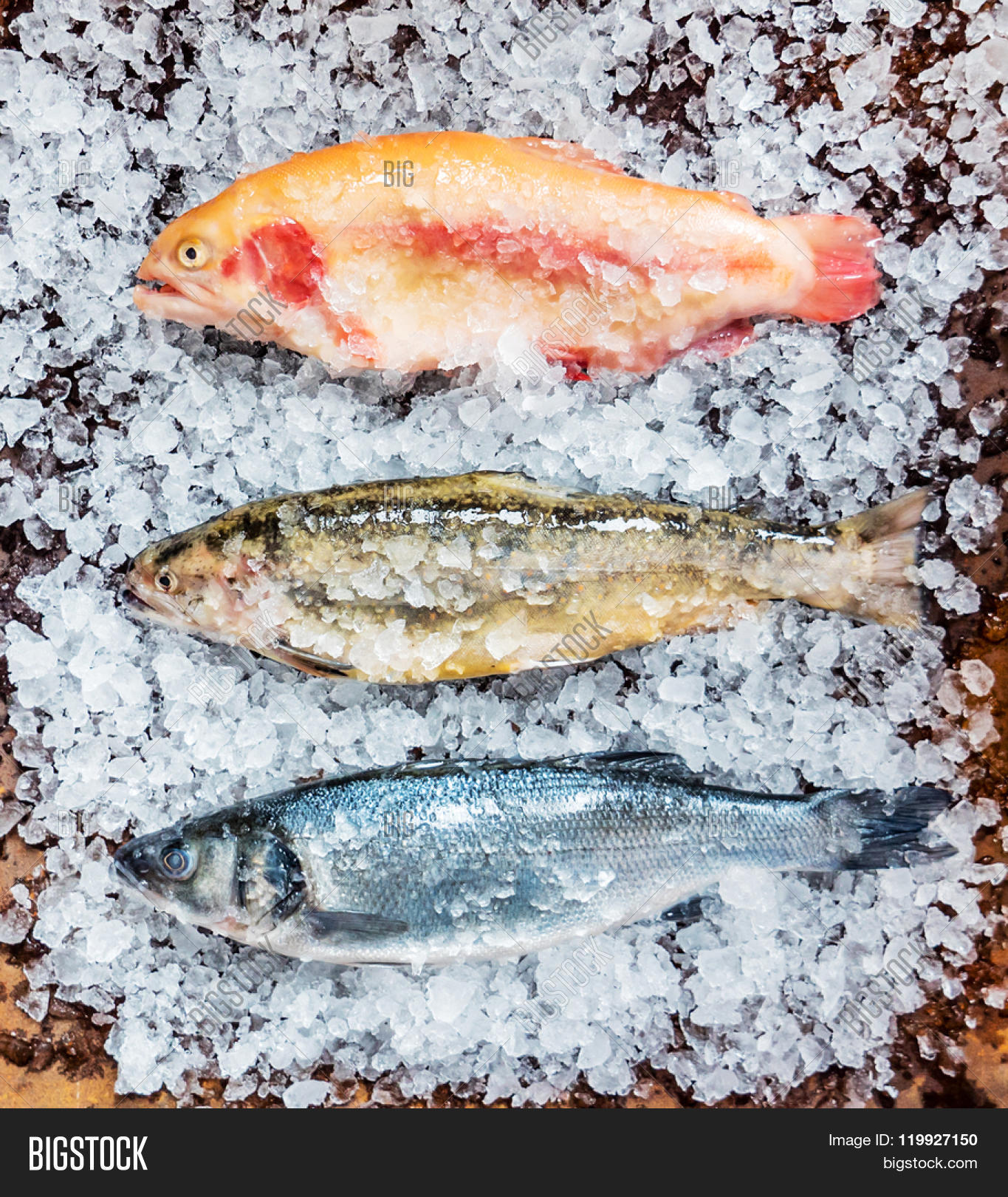 Fresh Fish Image & Photo (Free Trial) | Bigstock