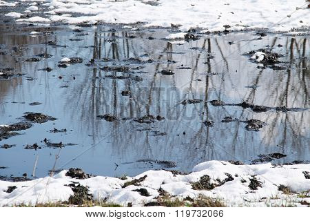 Pool Water Spring Image & Photo (Free Trial) | Bigstock