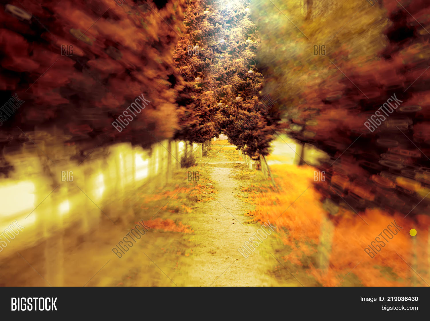 Fantastic Autumn Image & Photo (Free Trial) | Bigstock