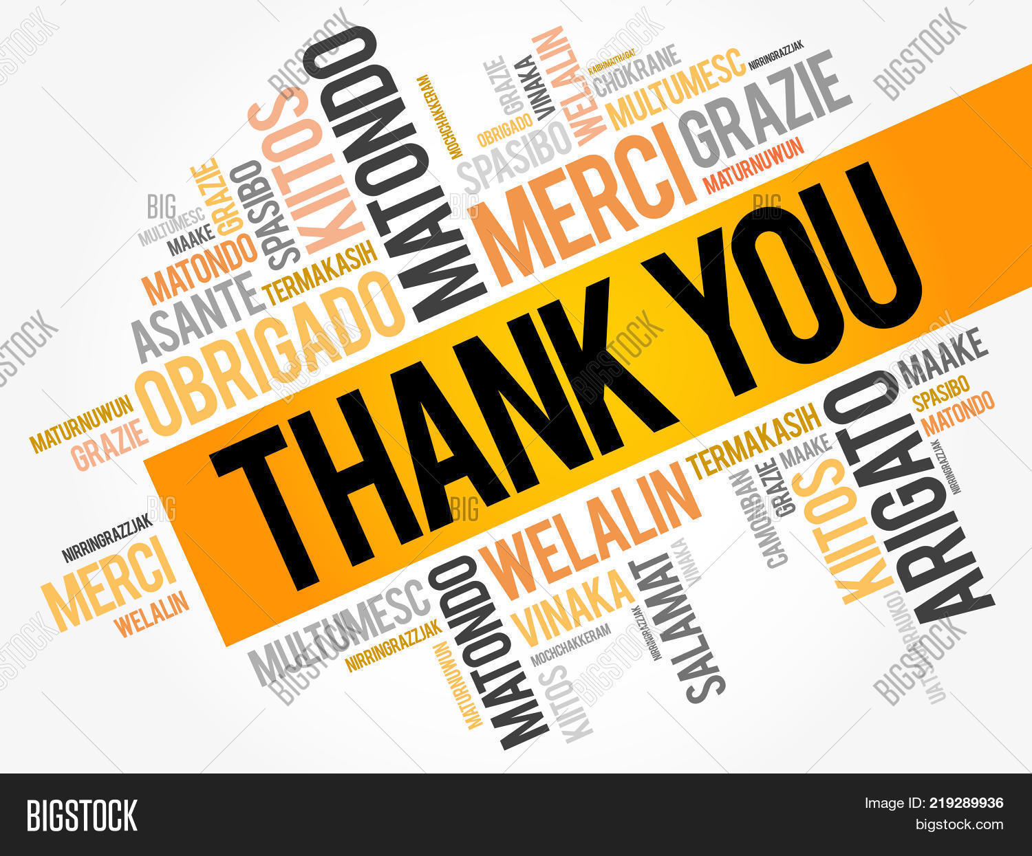 Thank You Word Cloud Image & Photo (Free Trial) | Bigstock
