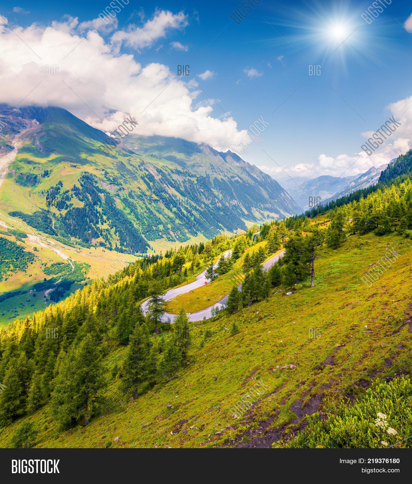 Summer Morning View Image & Photo (Free Trial) | Bigstock