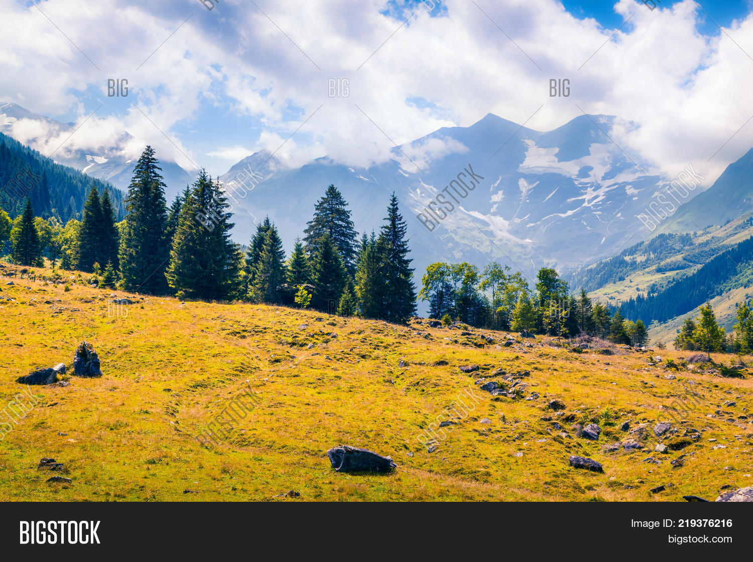 Summer Morning View Image & Photo (Free Trial) | Bigstock