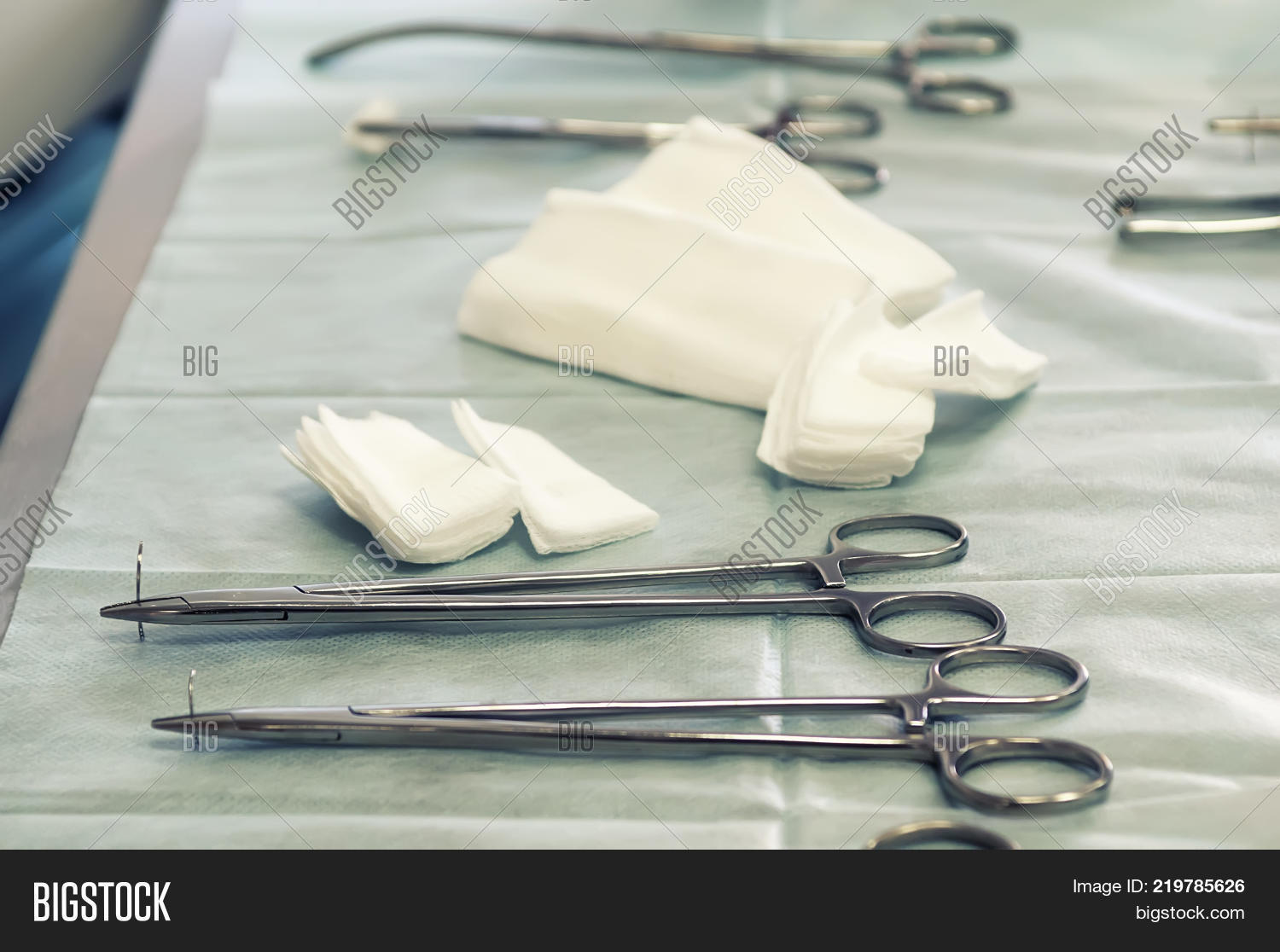 Hemostat Surgical Tool Image & Photo (Free Trial) | Bigstock