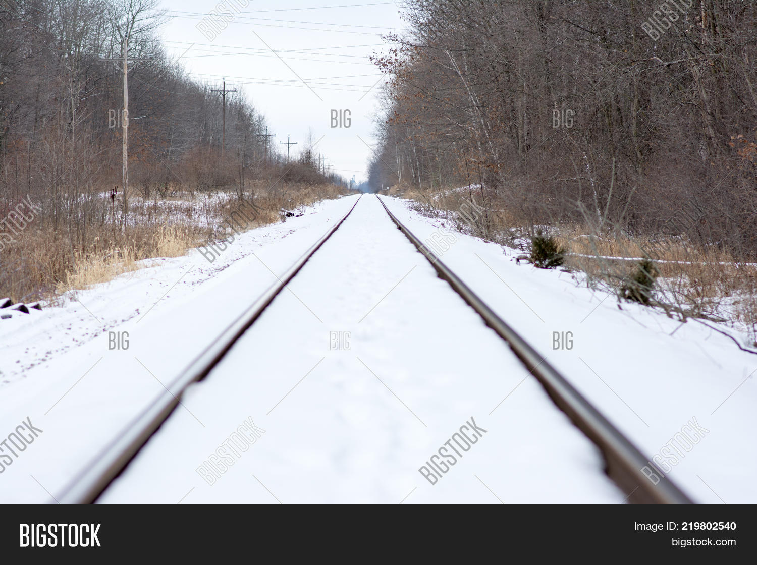 Train Tracks Covered Image & Photo (Free Trial) | Bigstock
