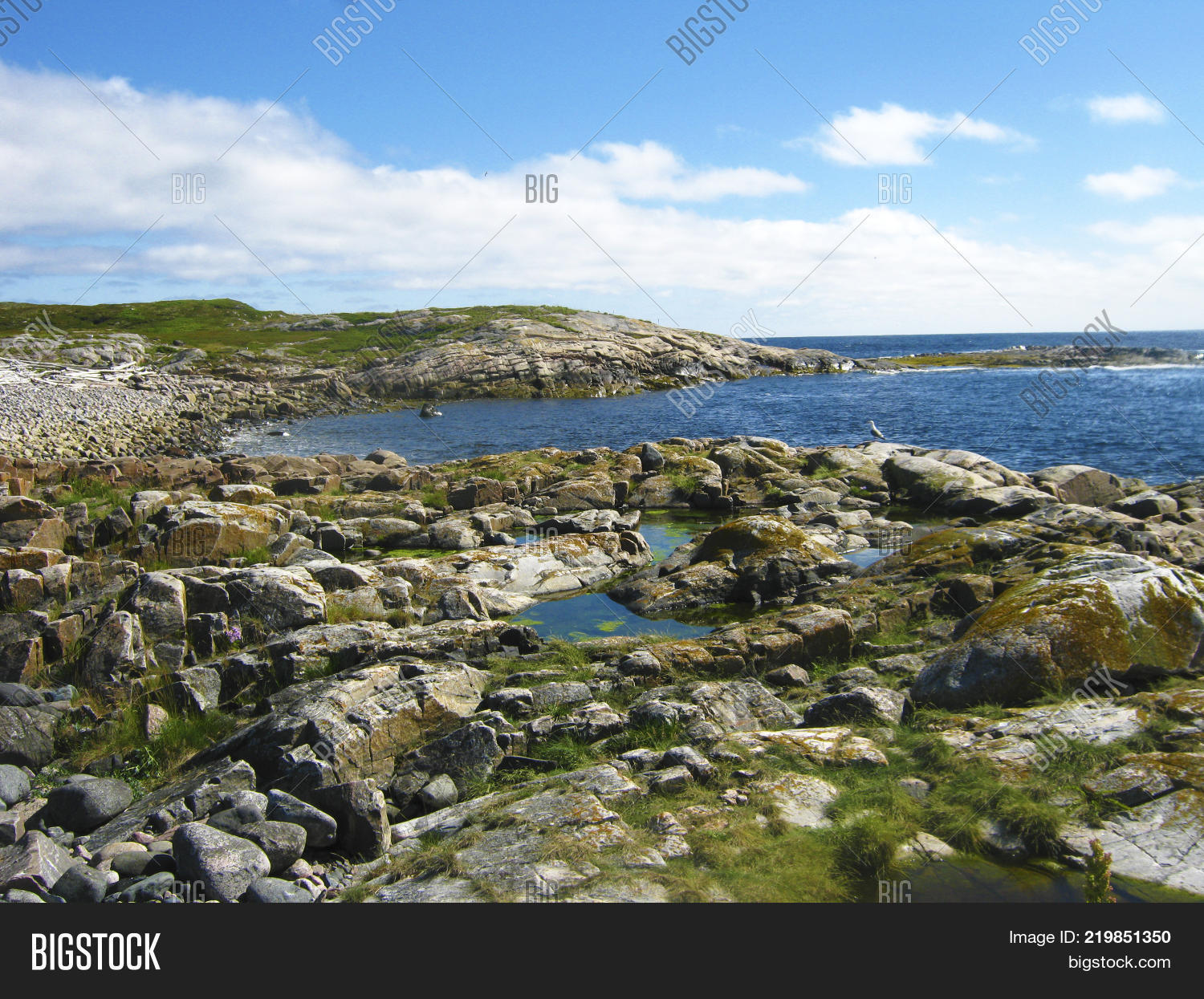 Overview White Sea Image & Photo (Free Trial) | Bigstock