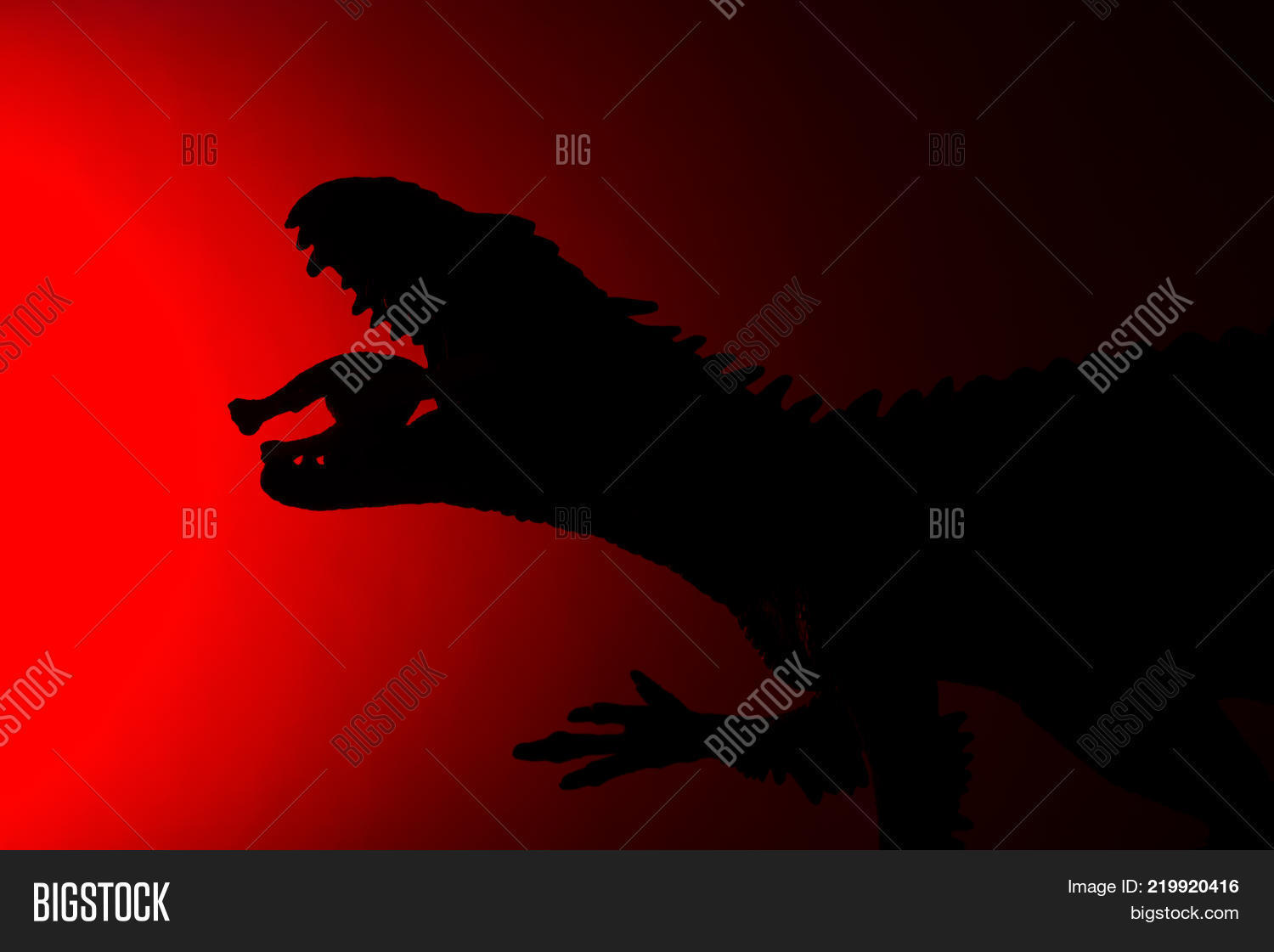 Shadow Image & Photo (Free Trial) | Bigstock