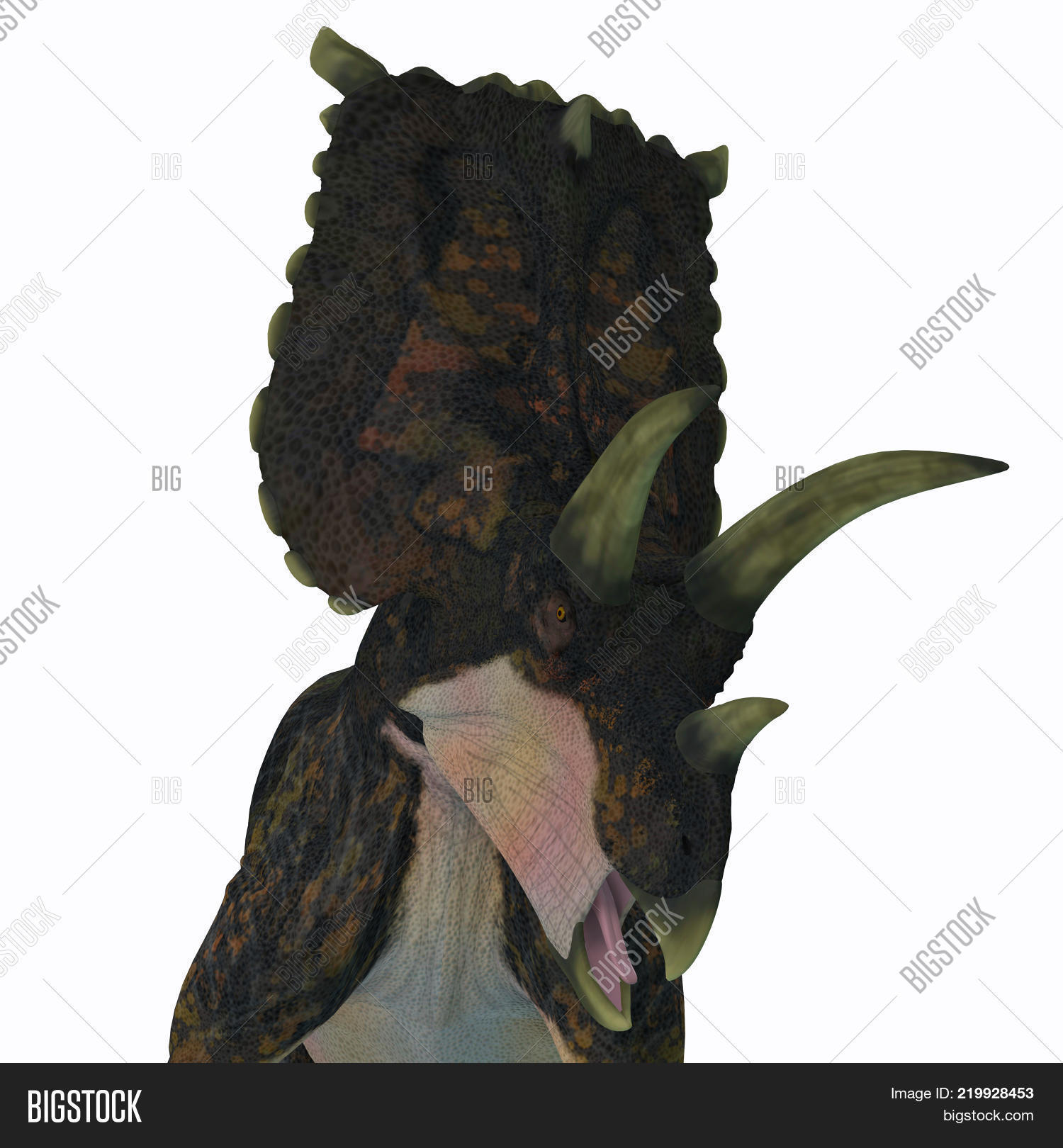 Bravoceratops Dinosaur Image & Photo (Free Trial) | Bigstock
