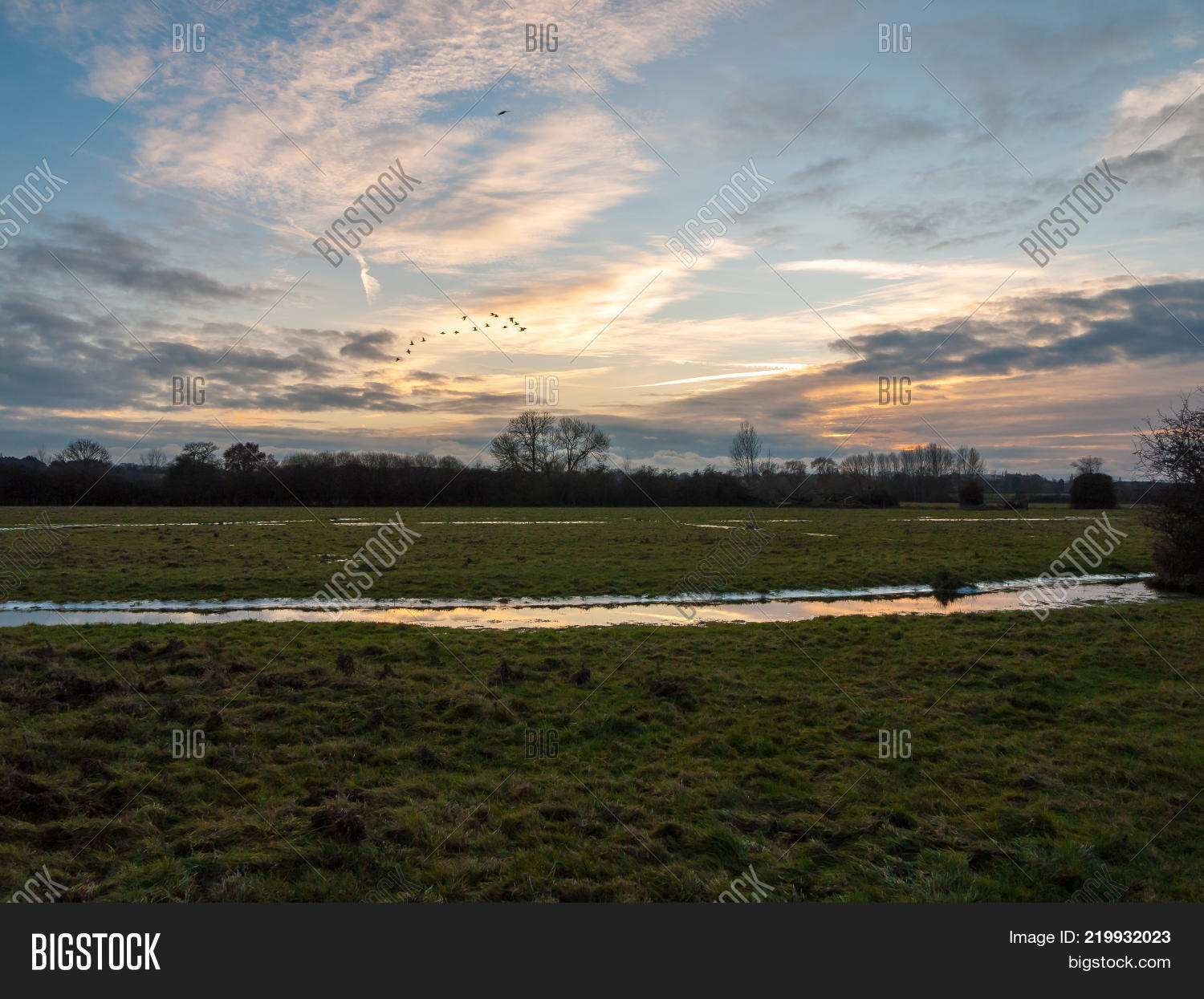 Empty Wet Grass Field Image & Photo (Free Trial) | Bigstock
