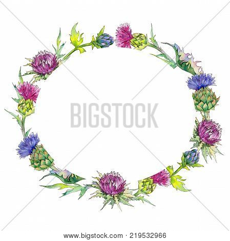 Thistle Border Images, Illustrations & Vectors (Free) - Bigstock