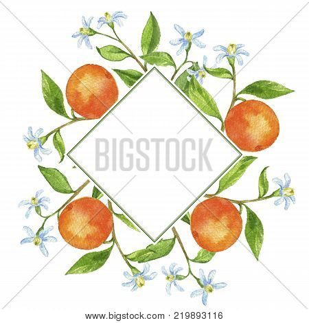 Template Orange Tree Image & Photo (Free Trial) | Bigstock