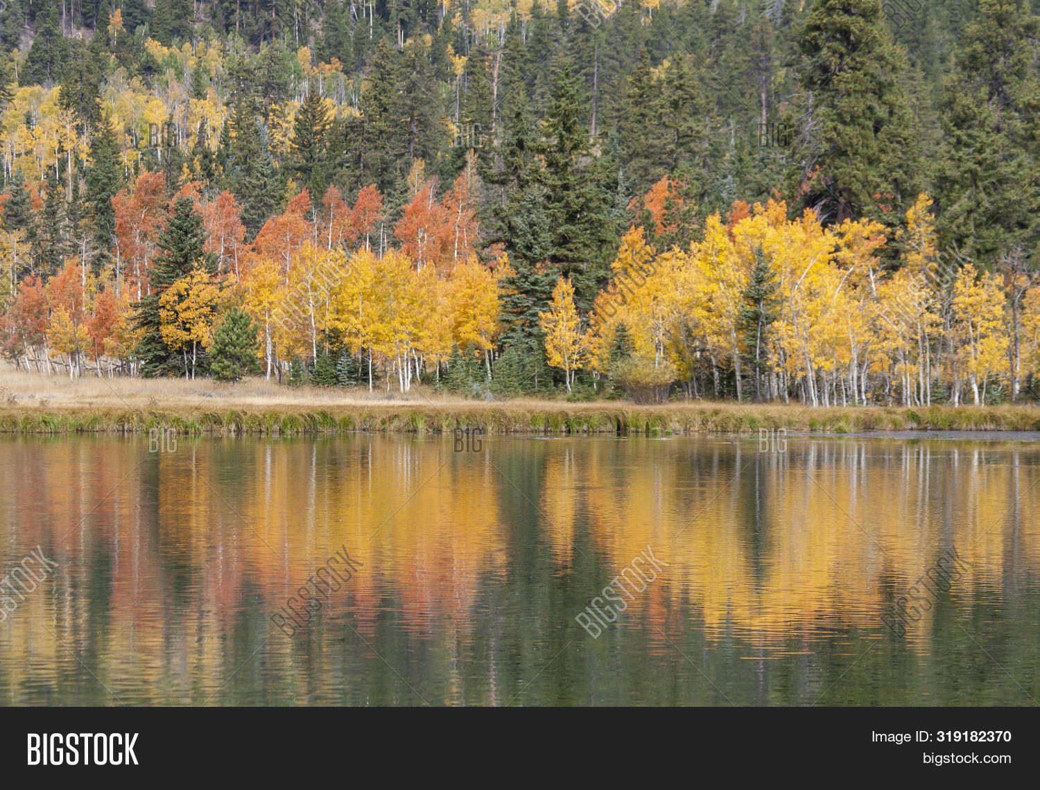 Duck Creek Pond Utah Image & Photo (Free Trial) | Bigstock