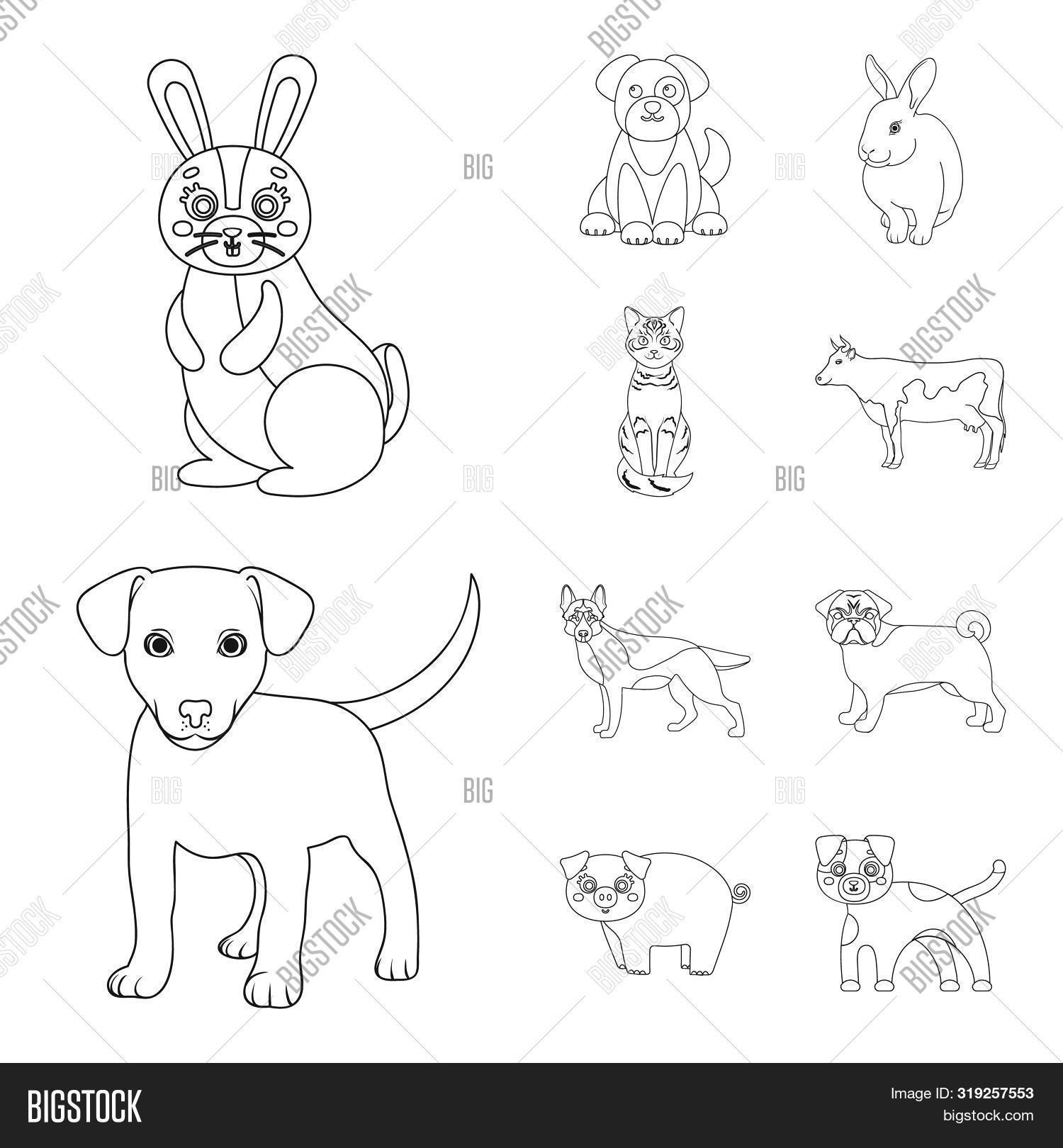 Bitmap Illustration Image & Photo (Free Trial) | Bigstock