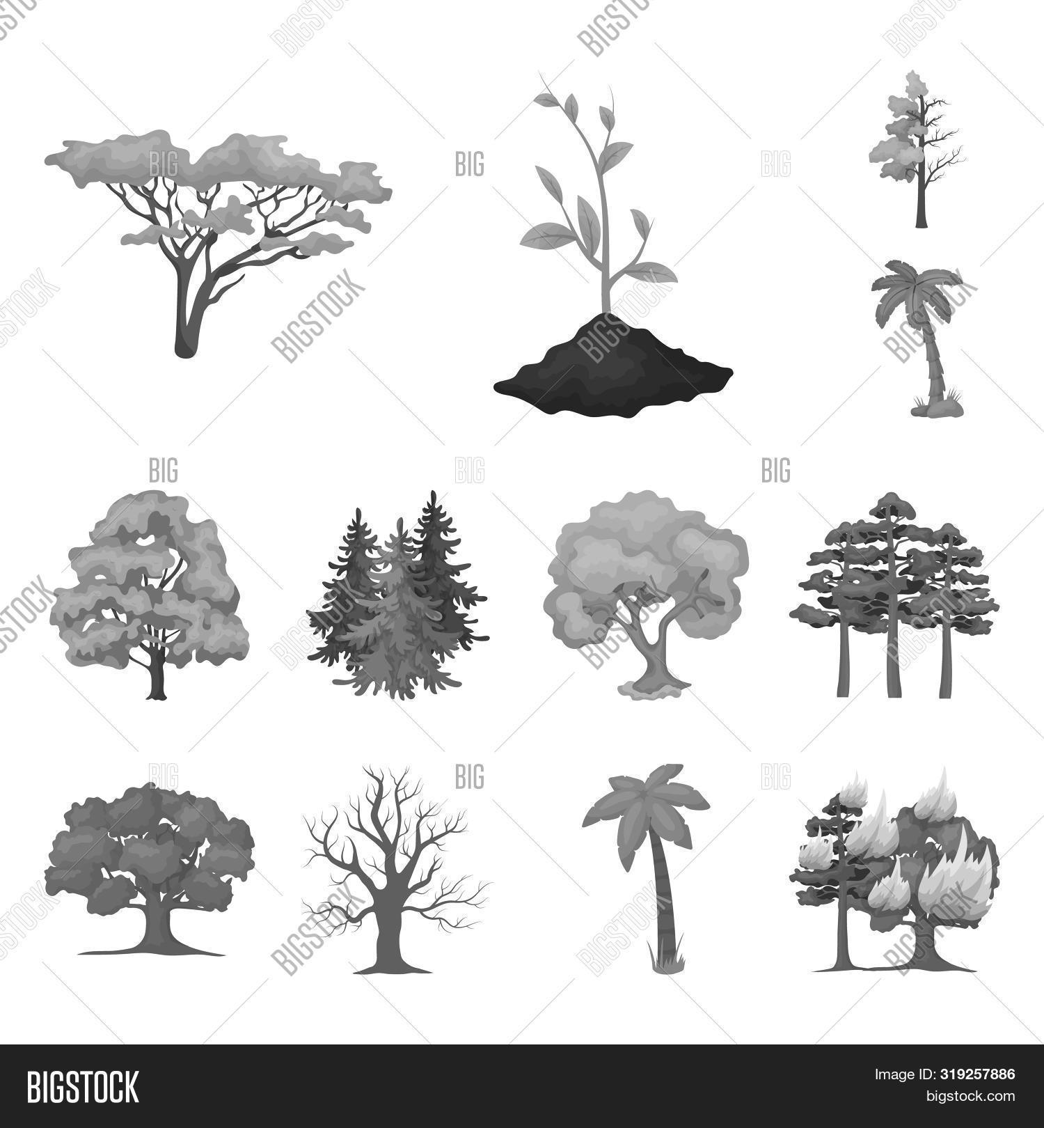 Bitmap Illustration Image & Photo (Free Trial) | Bigstock