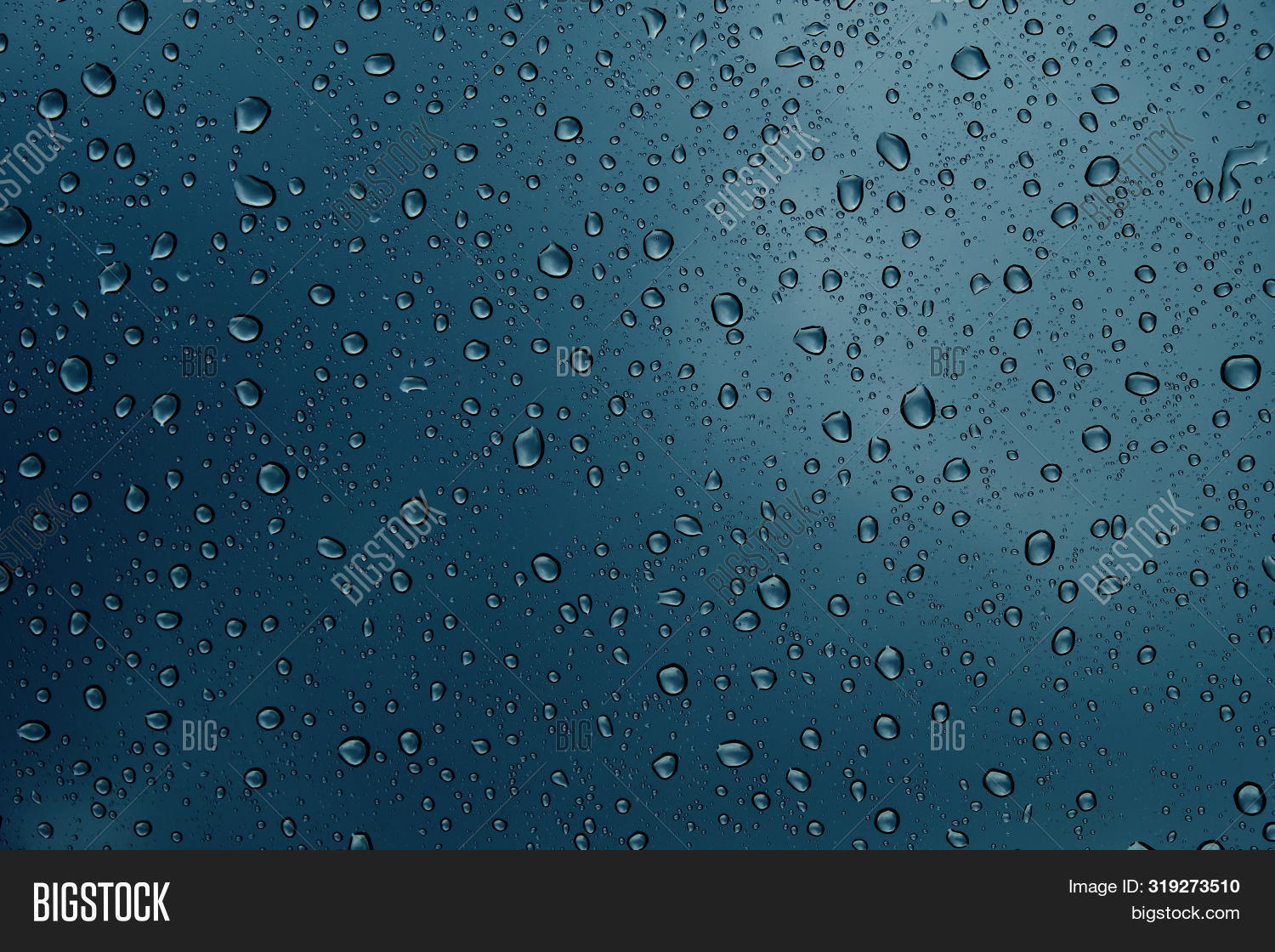 Water Droplet Texture Image & Photo (Free Trial) | Bigstock
