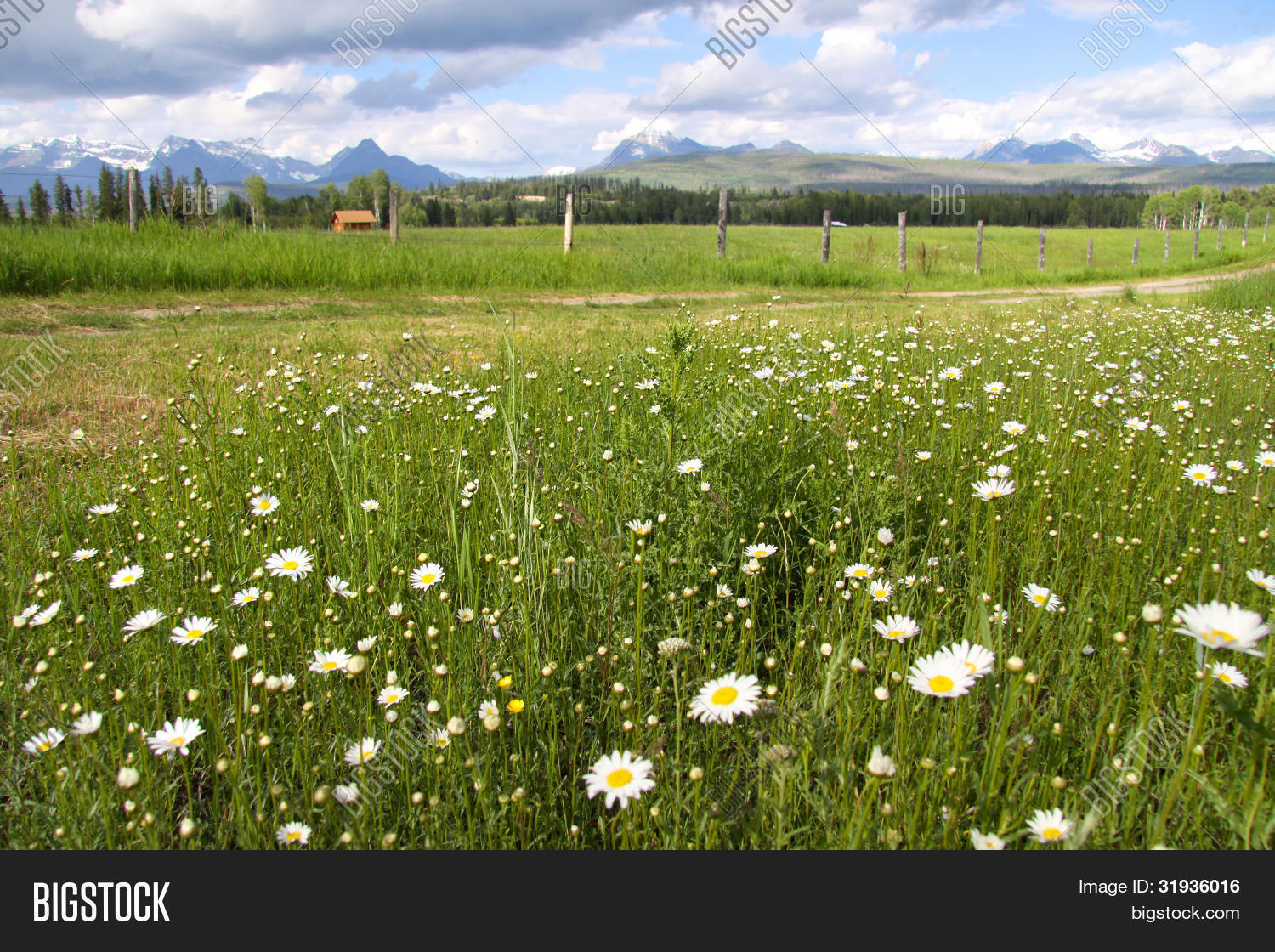 Beautiful Farm Scene Image & Photo (Free Trial) | Bigstock