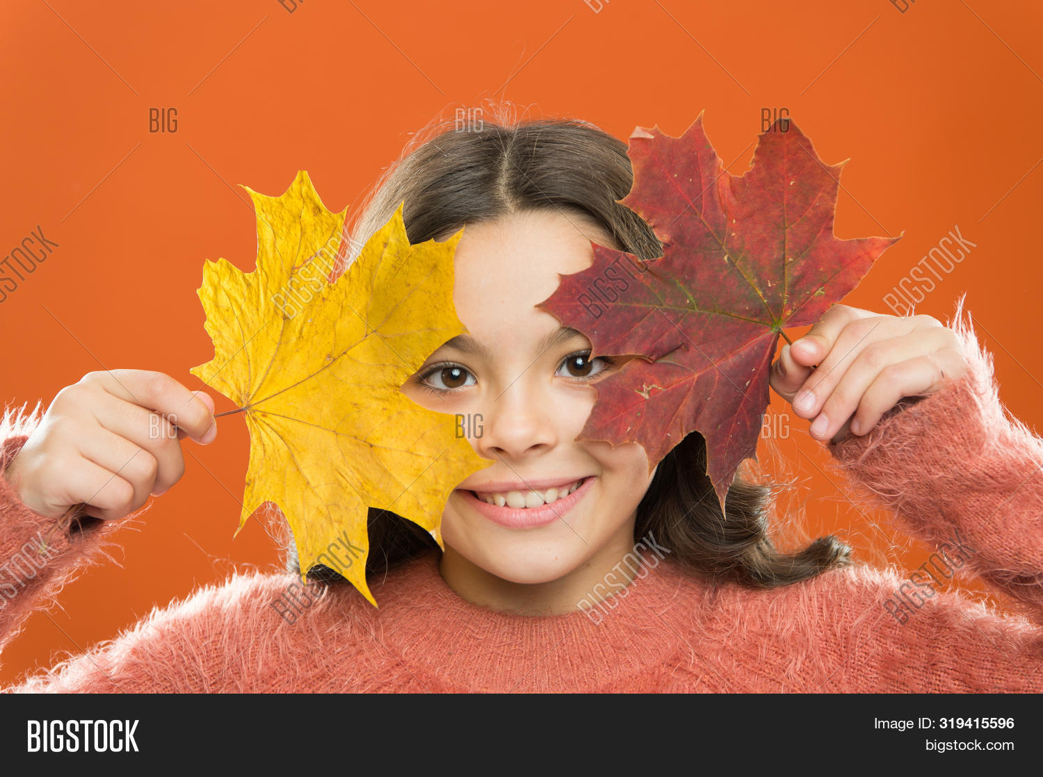 Going Crazy. Autumn Image & Photo (Free Trial) | Bigstock
