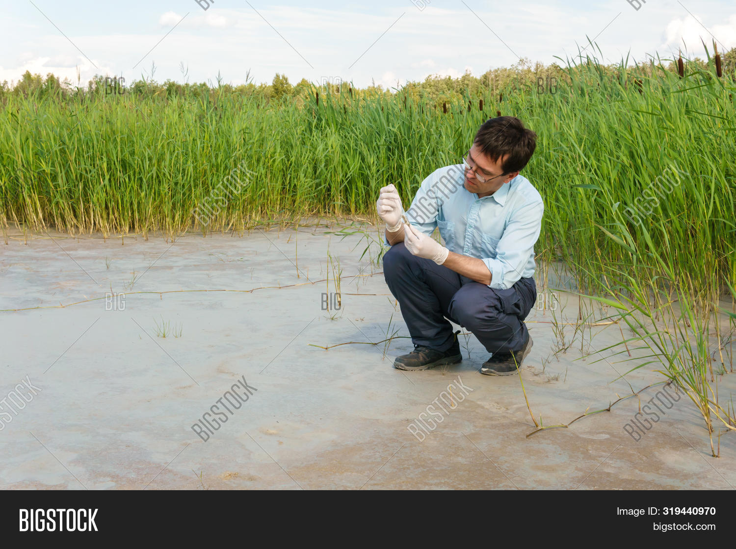 Field Researcher Image & Photo (Free Trial) | Bigstock